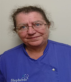 Shepherds Vets In Bridgend, Port Talbot, Pontyclun & Porthcawl