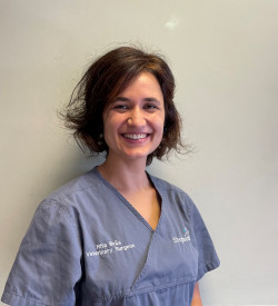 Shepherds Vets In Bridgend, Port Talbot, Pontyclun & Porthcawl